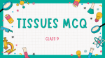 Tissues Science MCQ Class 9 - MTG Learning Media Resources